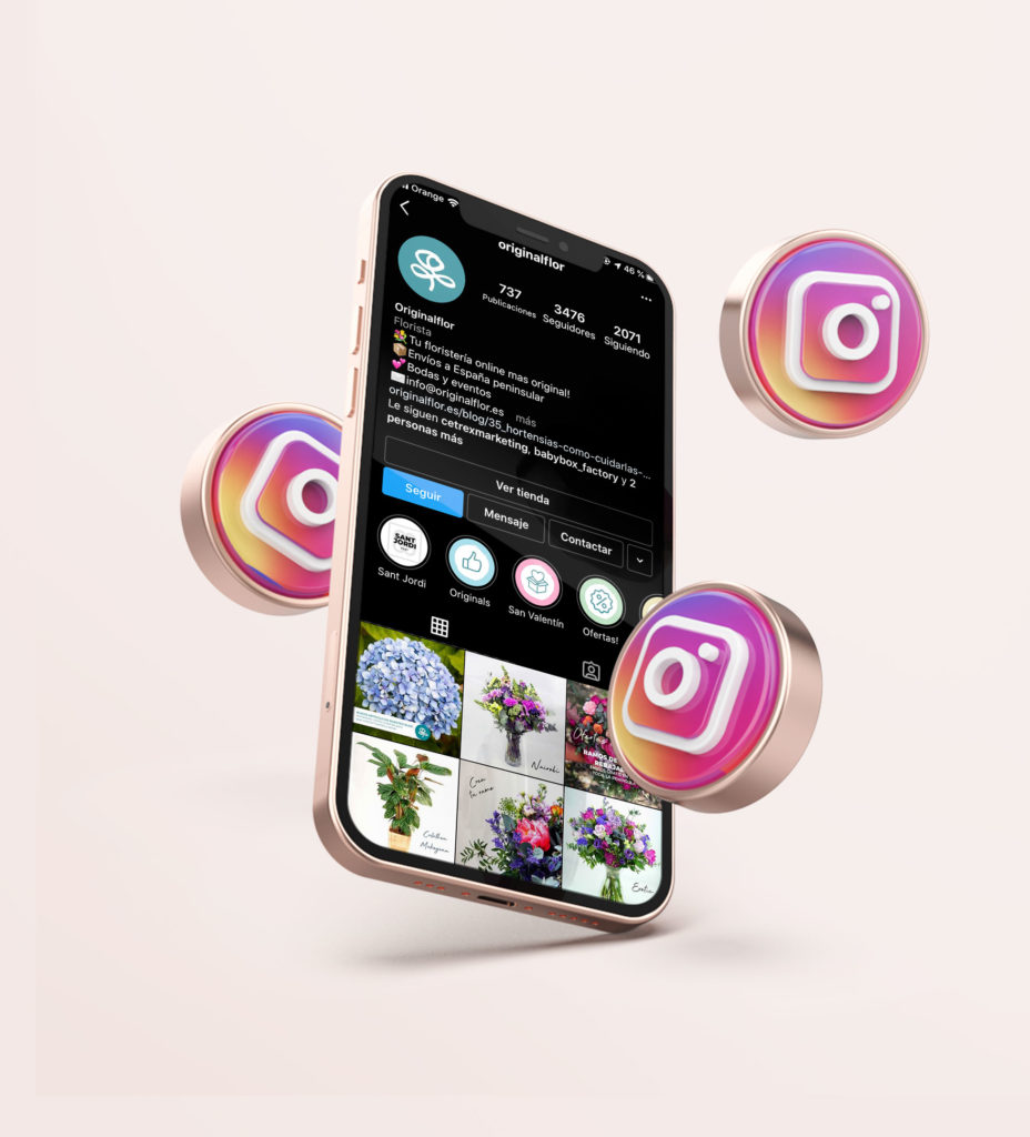 Original Flor - Cetrex Internet Marketing