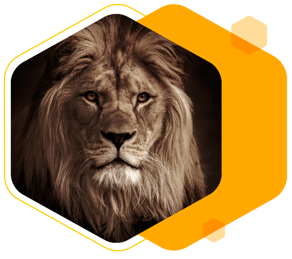 Cetrex Internet Marketing | Agencia de Marketing Digital en Mataró